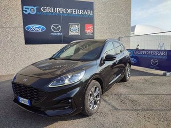 Auto usate Ford Kuga Elettrica a Parma in vendita presso Gruppo Ferrari
