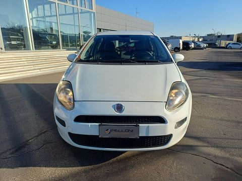 Auto usate a Modena in vendita presso Pelloni Auto S.p.A.